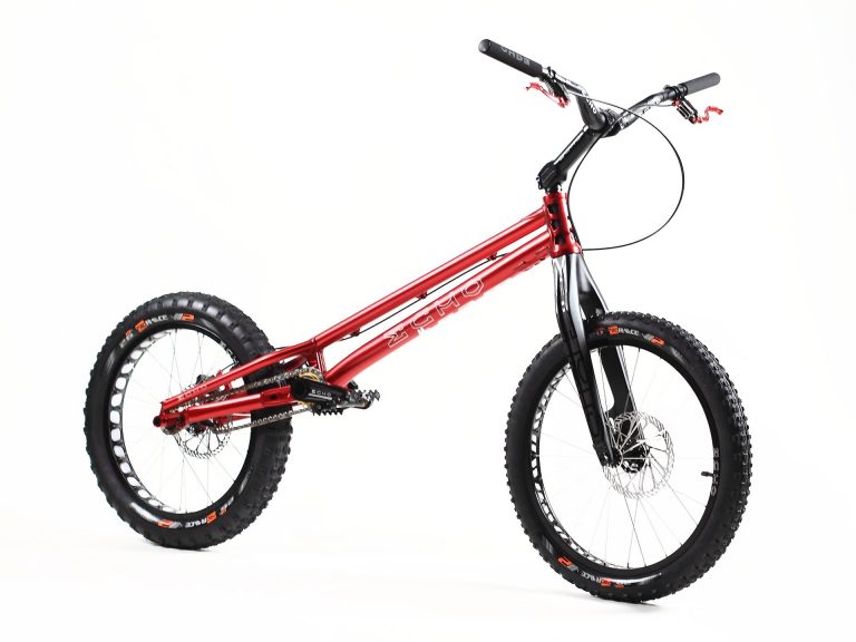 ECHO Team 20″ – ECHO BIKE